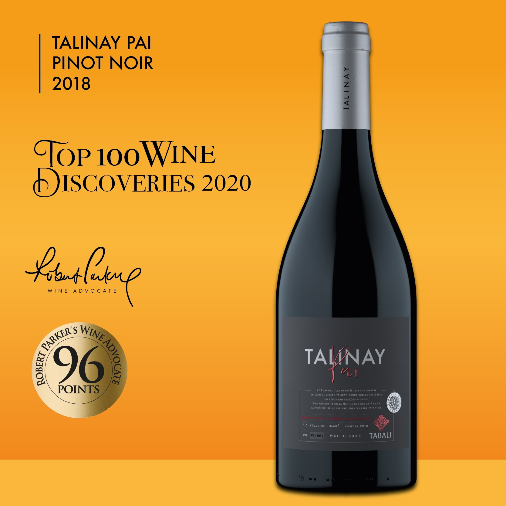 Talinay wines: exceptional vineyards, exceptional wines | Tabali