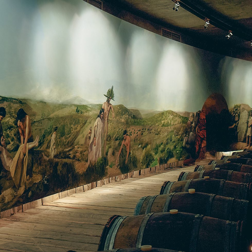 OUR HISTORY | Tabali